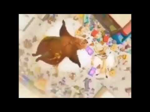 Open Season Shop Scene meme sound effects - YouTube