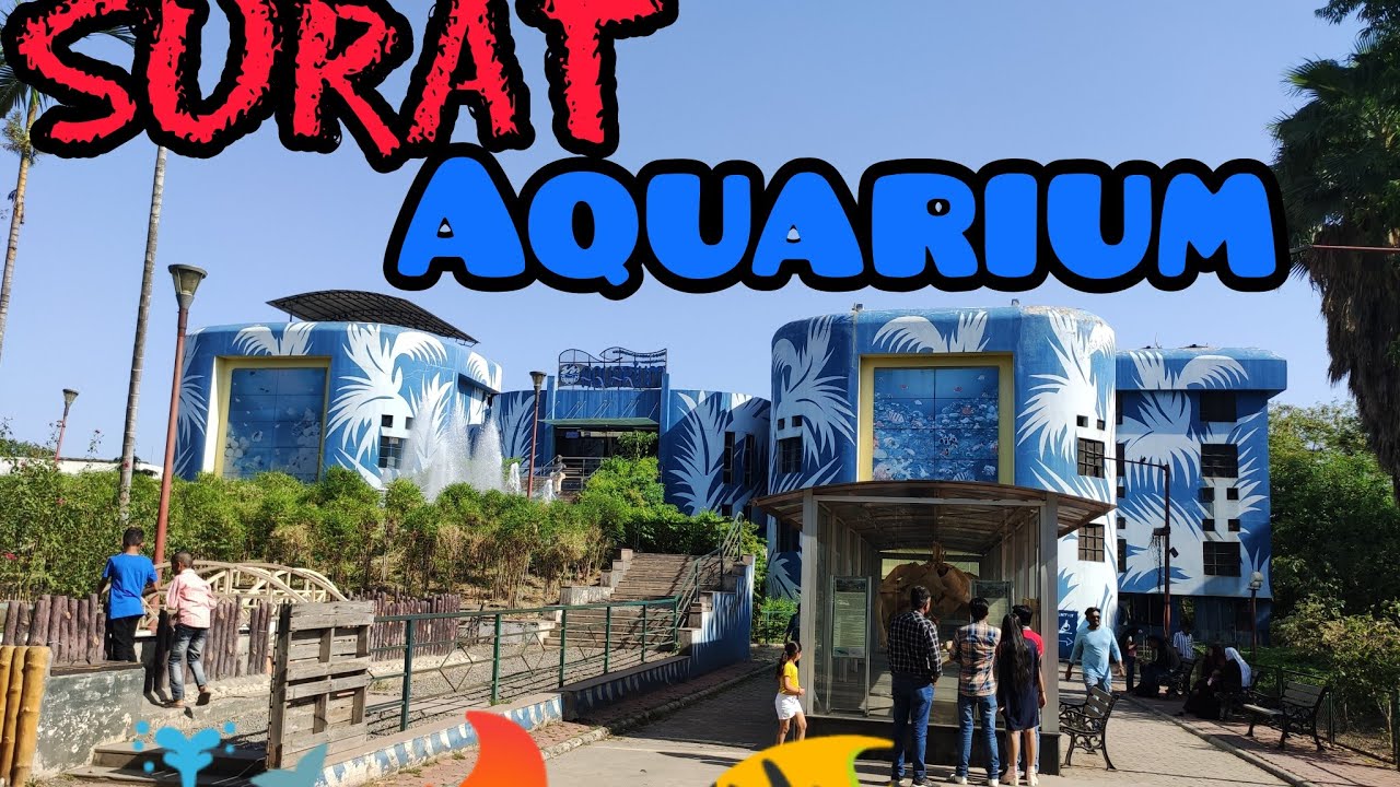 SURAT Aquarium 🐠🐳/Beautiful Tourist Place in Surat🐬 - YouTube