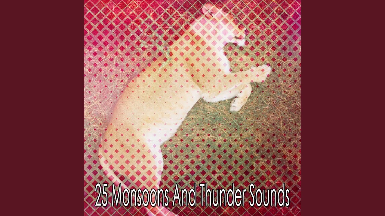 Metal Dings While A Storm Rages On - YouTube