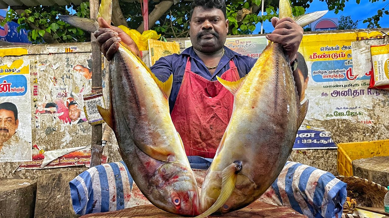 KASIMEDU SPEED SELVAM | BIG MANJA PAARAI FISH CUTTING VIDEO | 4K VIDEO ...