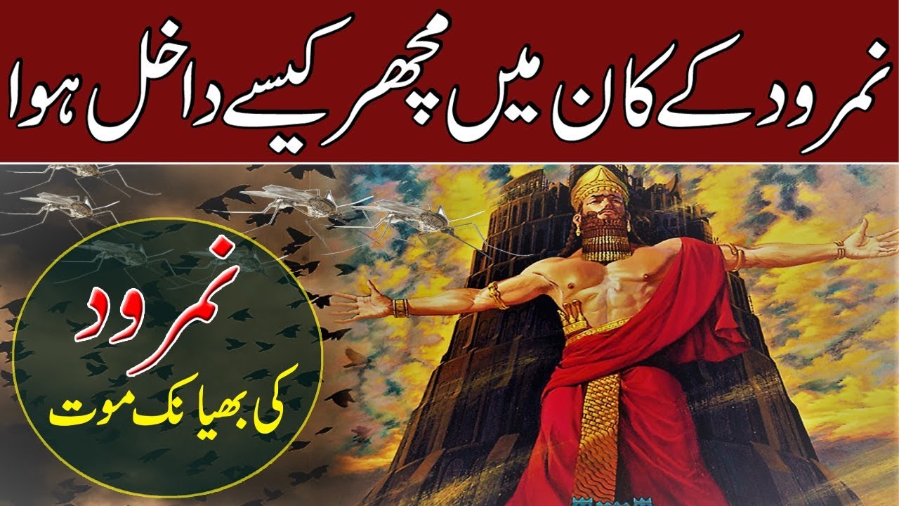 Namrood Ka Anjam | End Of Nimrod | Namrood Aur Machar Qisasul Anbya ...