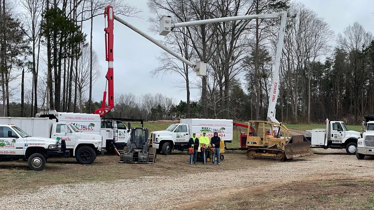 Big & Tall Tree Service - YouTube
