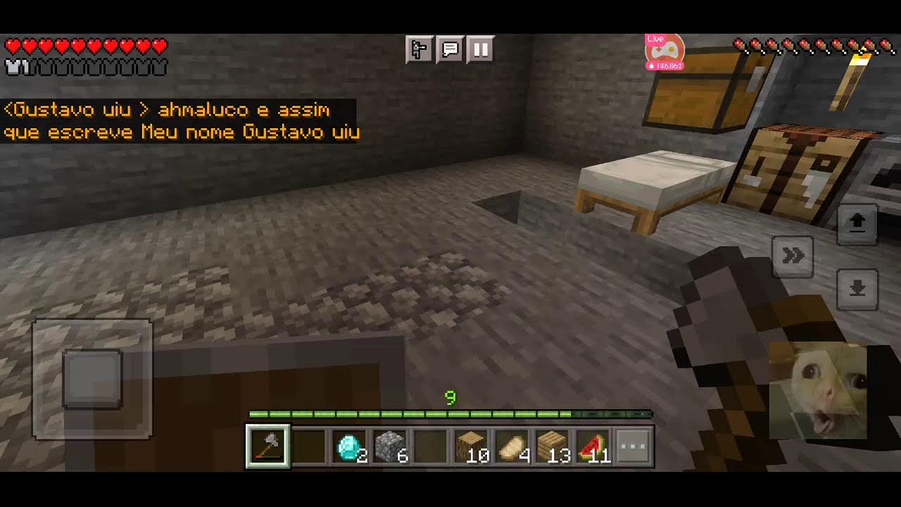 UM MINE DE CRIA ♡ - YouTube