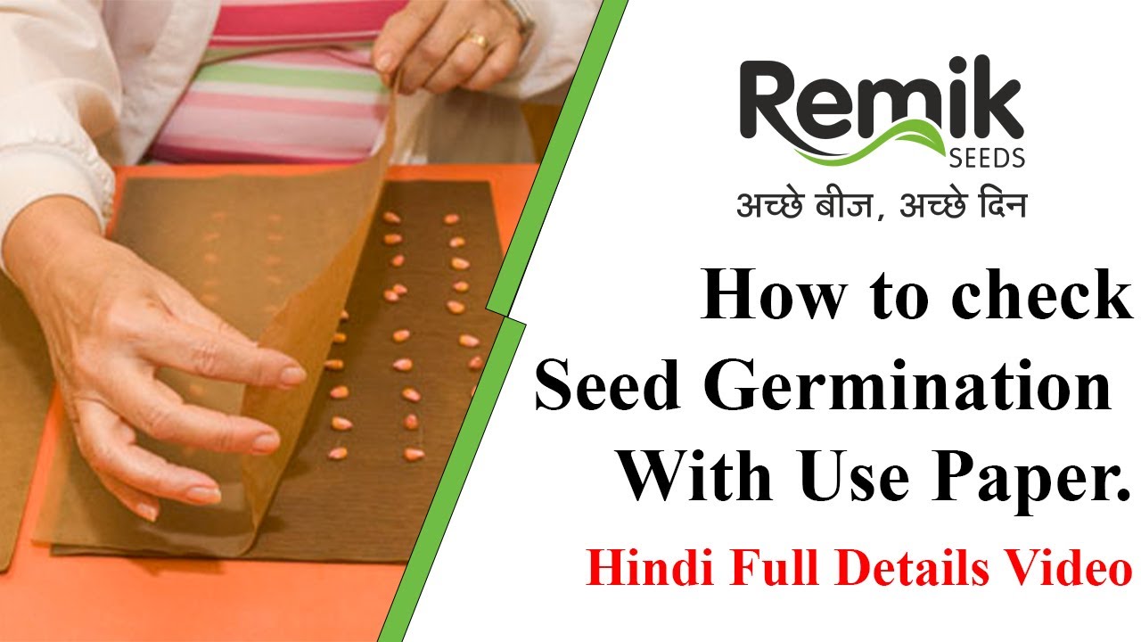 How to Check any seeds Germination with the help of germination paper ...