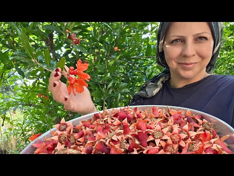 ✅️SİZLER BANA SÖYLEDİNİZ BENDE HER YIL TOPLAYIP KURUTUYORUM✅️NARÇİÇEĞİNİN FAYDALARI 