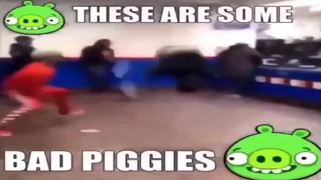 bad piggies memes 8 - YouTube