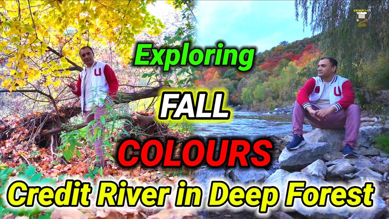 Exploring FALL COLOURS Along Credit River in Deep Forest - YouTube