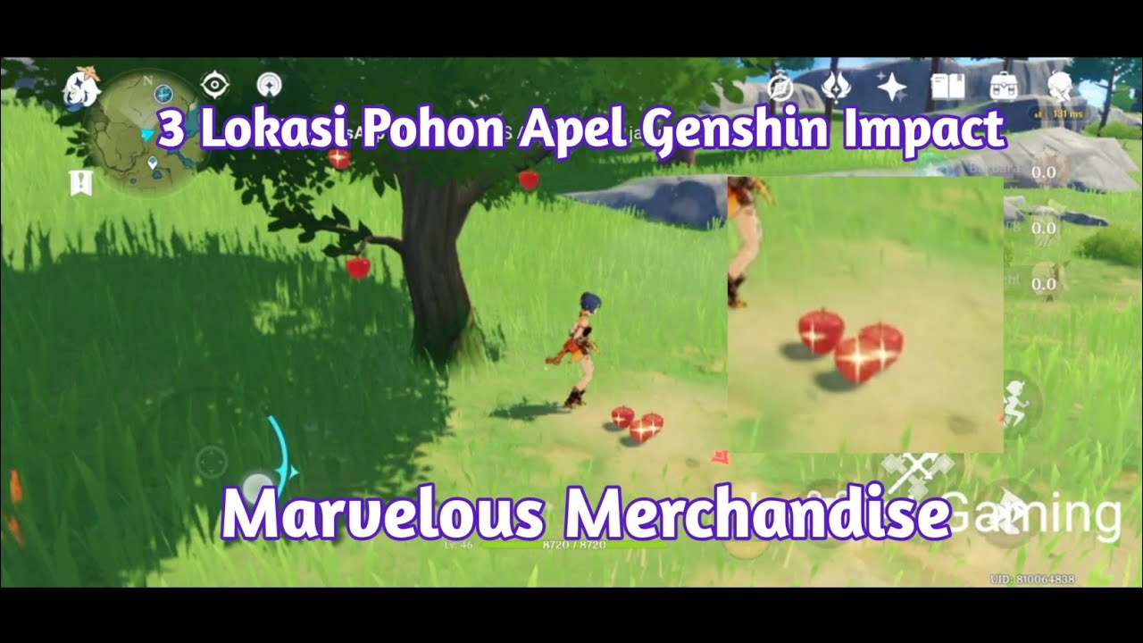 Lokasi Apel Genshin Impact || Location Apel marvelous merchandise - YouTube