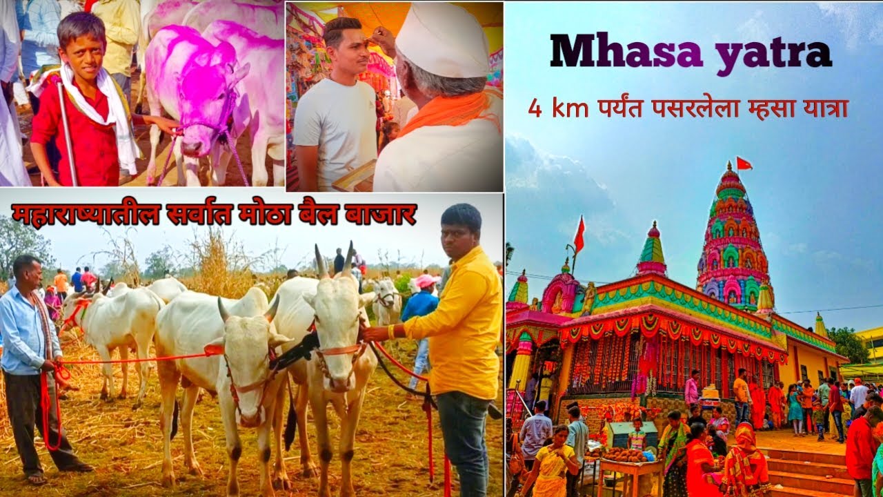 Mhasa yatra] बैल बाजार म्हसा | तिसरा दिवस | Marathi Vlog - YouTube