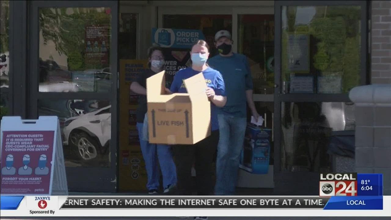 MS Gov. Tate Reeves allows statewide mask mandate to expire - YouTube