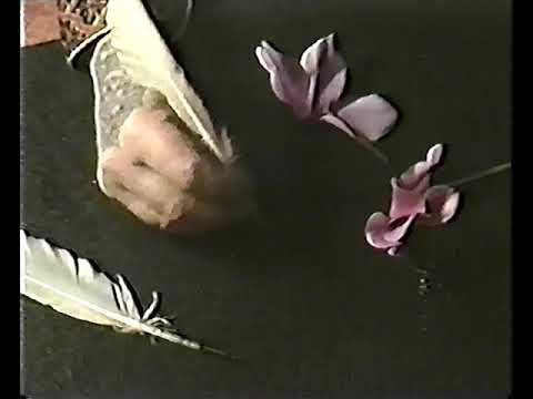 'Vali's Diary' documentary, 1984 - YouTube