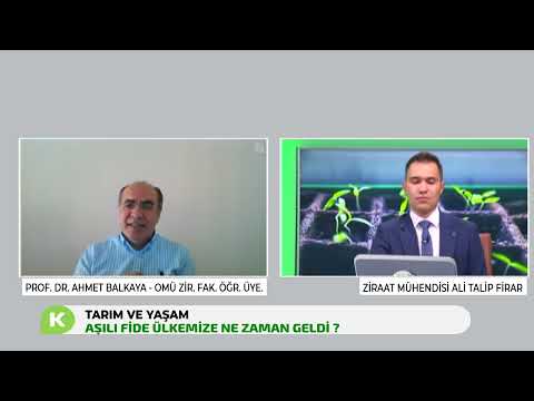SEBZE YETİŞTİRİCİLİĞİNDE AŞILI FİDE KULLANIMI | TARIM VE YAŞAM