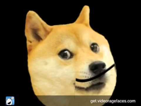 DOGE CAN BEAT BOX