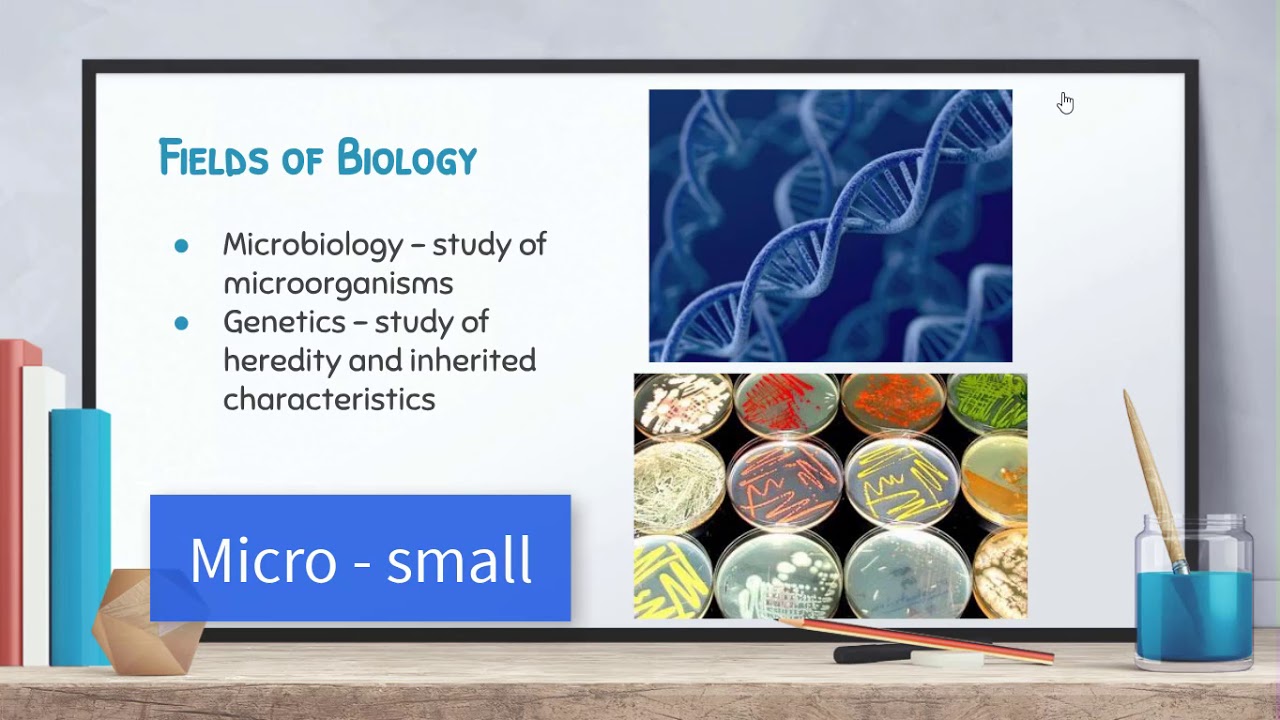 Biology: Video 1-2: Fields of Biology - YouTube