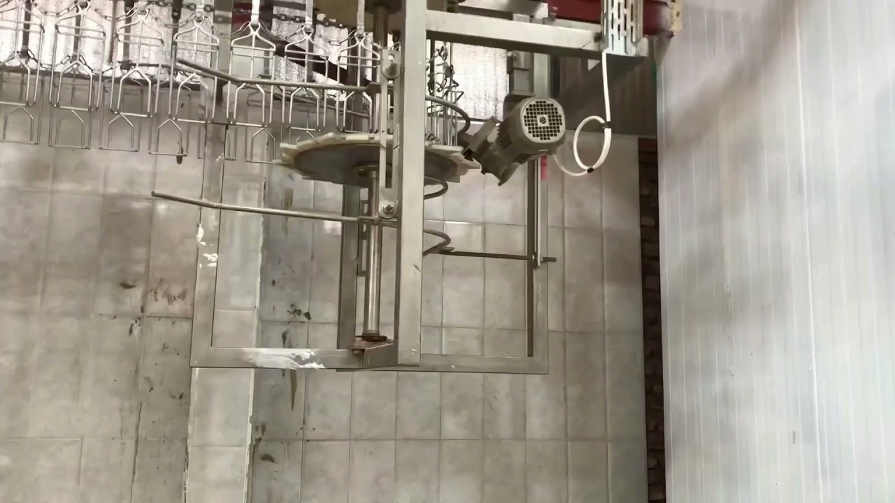 Complete Poultry Abattoir 2.000bph _ Project Sudan - YouTube