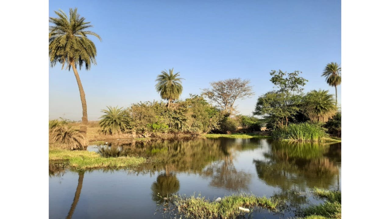 Ponds, Lakes, Farms | Kazipally Village - YouTube