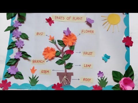 Soft Board Decoration||Parts of Plant||Craft ideas|| - YouTube