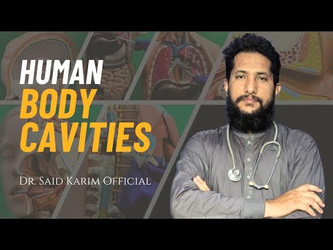 Human body cavities lecture by Dr said Karim Official - YouTube