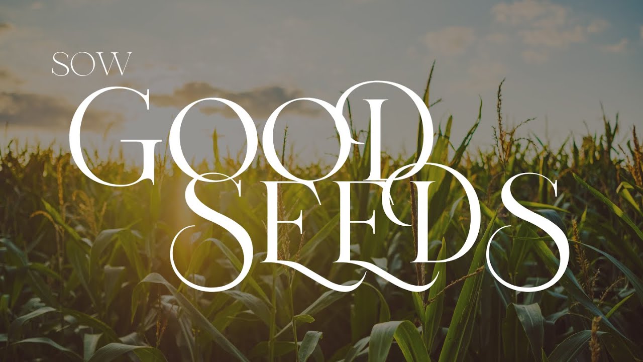 Sow Good Seeds - YouTube