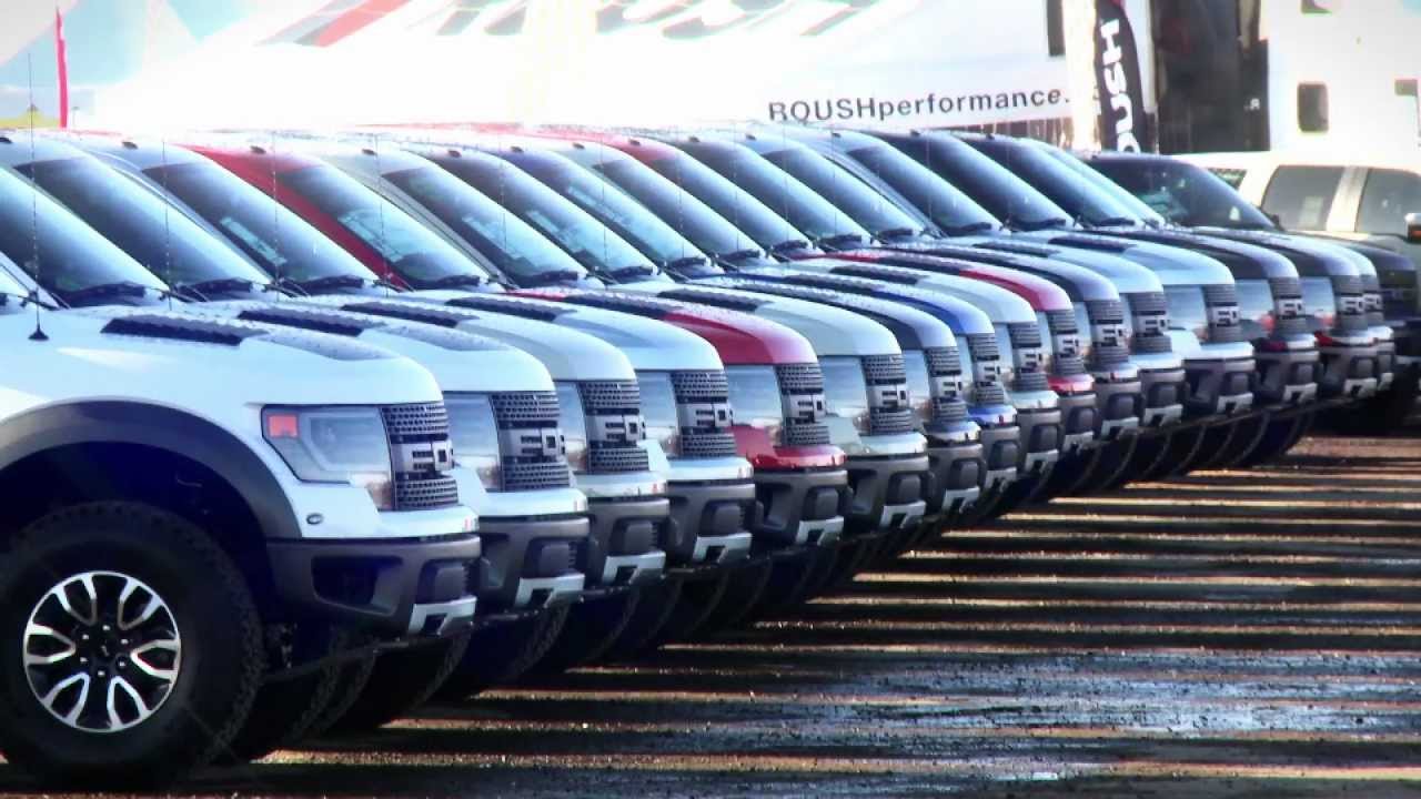 Raptor Round-Up: Chandler, Arizona 2013 - YouTube