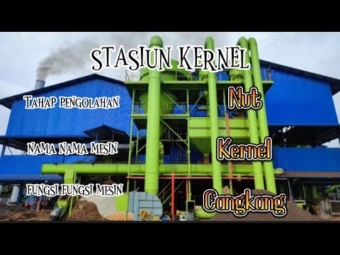 Tahapan Pengolahan Nut di Stasiun Kernel | palm oil - YouTube