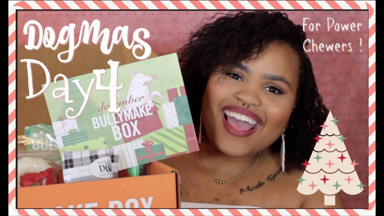 Dogmas Day 4 | BULLYMAKE BOX UNBOXING December 2017 ️ - YouTube