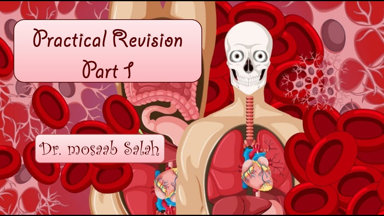 practical Revision part 1 - YouTube