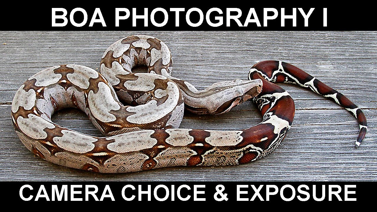 Boa Photography I- Camera Choice and Exposure - YouTube