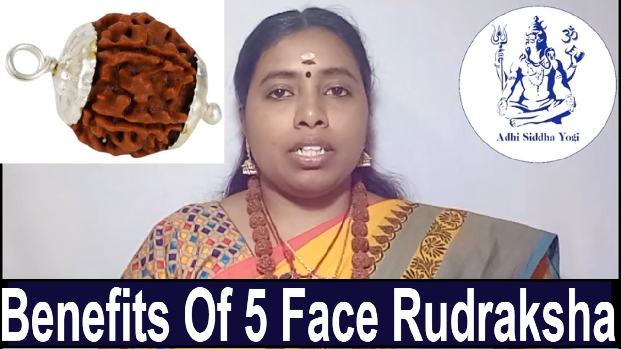 Benefits Of 5 Face Rudraksha in English | Adhi Siddha Yogi | Five Mukhi ...