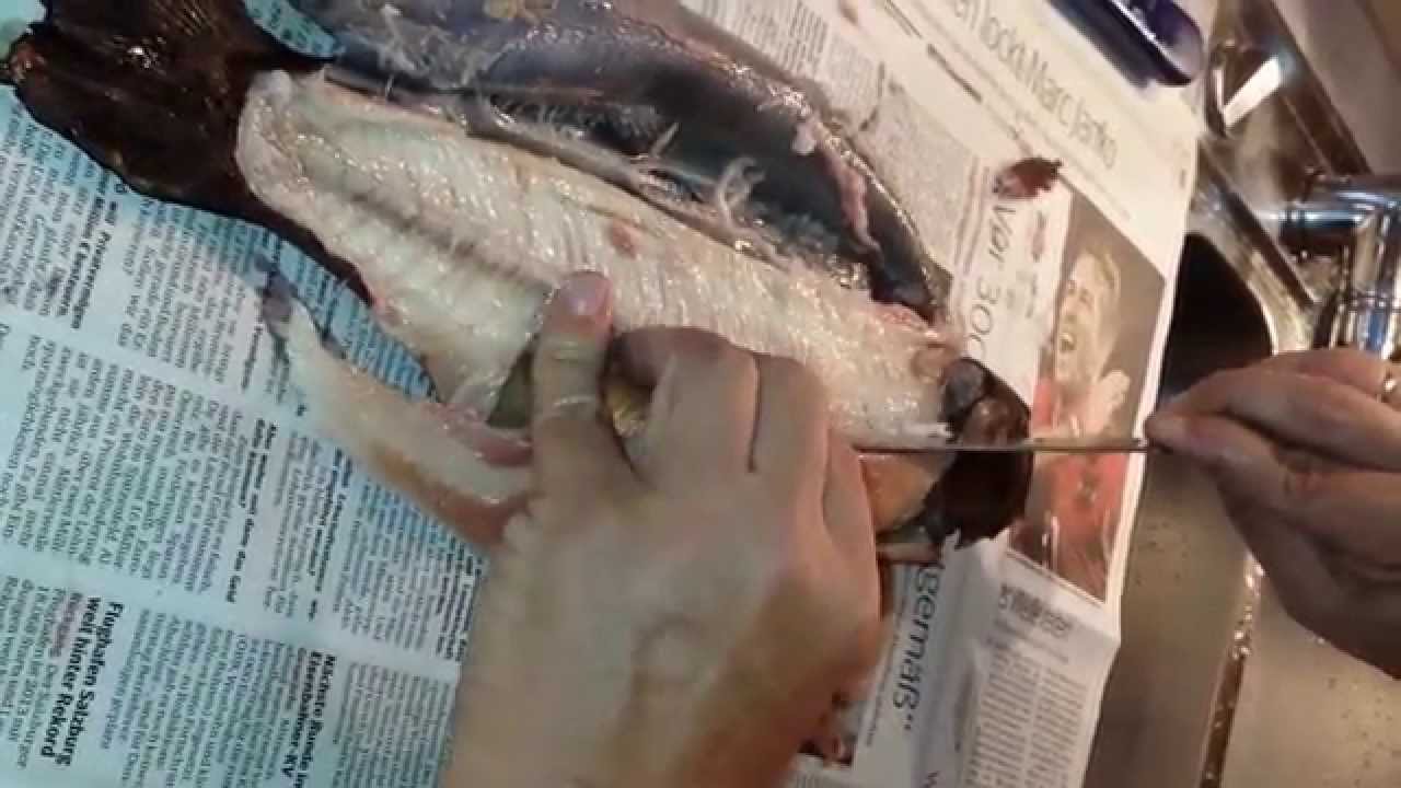 Geräucherte Forelle filetieren Teil 1 - YouTube