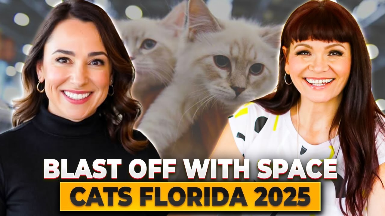 Blast Off with Space Cats Florida 2025: An Out-of-this-World Cat ...