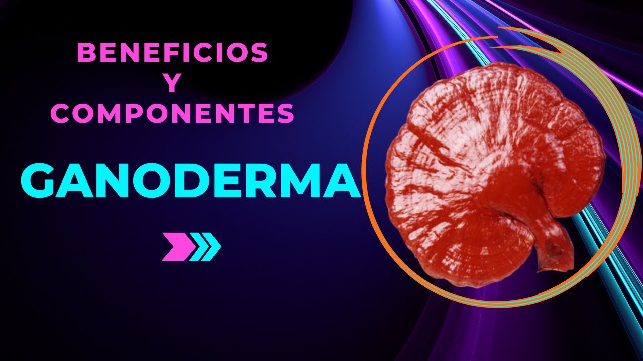 👉🍄 BENEFICIOS Y COMPONENTES PRINCIPALES DEL GANODERMA - YouTube