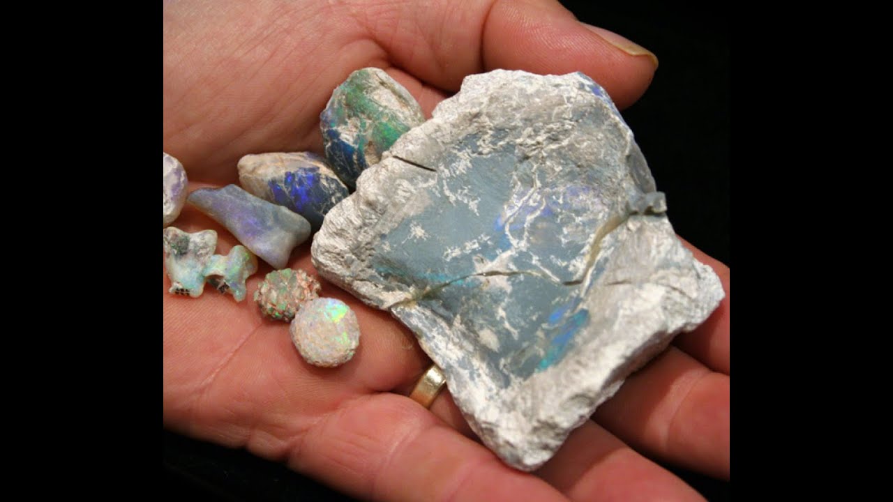 Lightning Ridge Fossil DIg Video Interview - YouTube