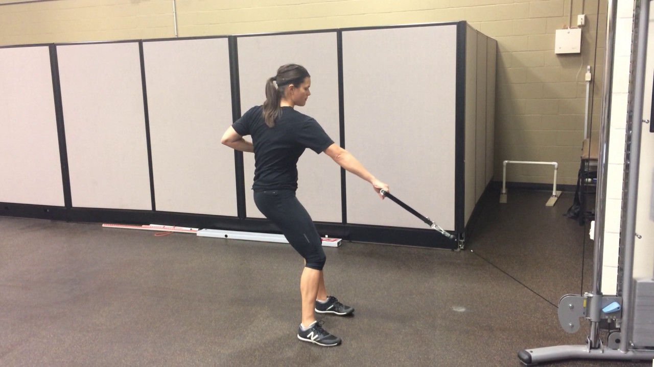 Cable Low to High Single Arm Rotational Row - YouTube