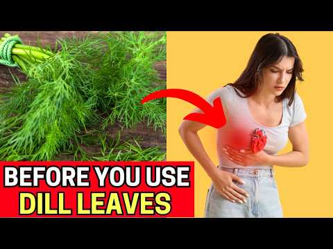 The Benefits and Harms of Dill Leaves: Should You Eat Them?