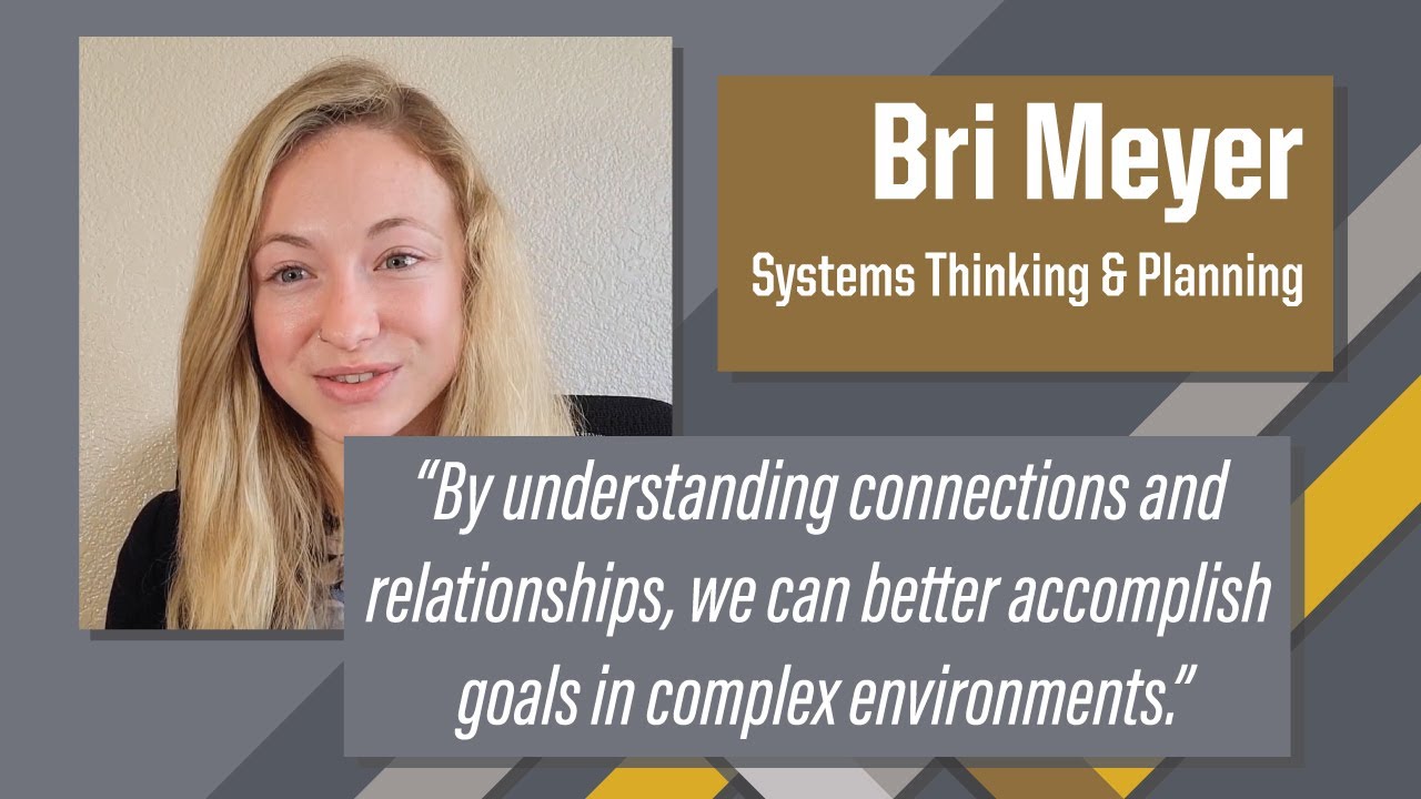 LEAD Competencies - Systems Thinking & Planning with Bri Meyer - YouTube