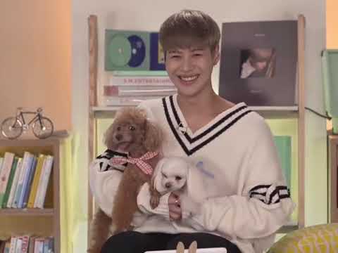 SHINee TAEMIN (샤이니 태민) and his doggies: adam and eve ♡