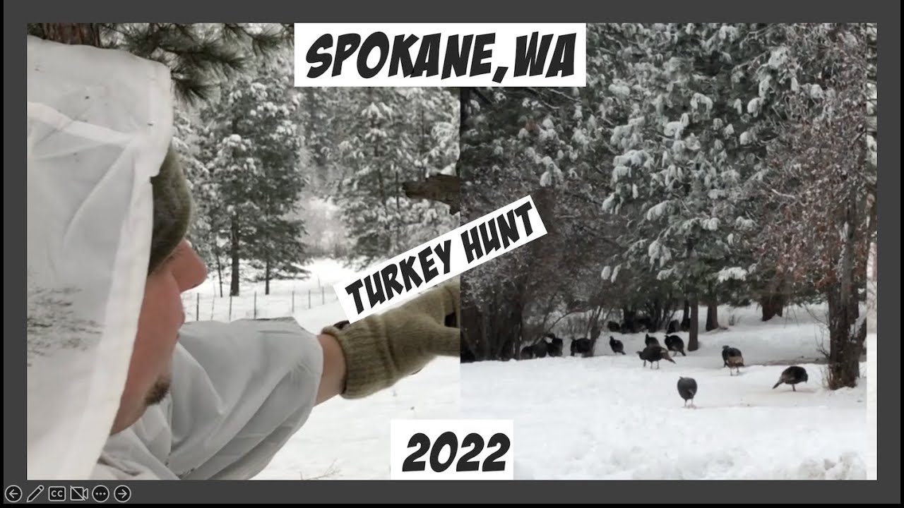 How to hunt turkey, Spokane Washington 2022? - YouTube