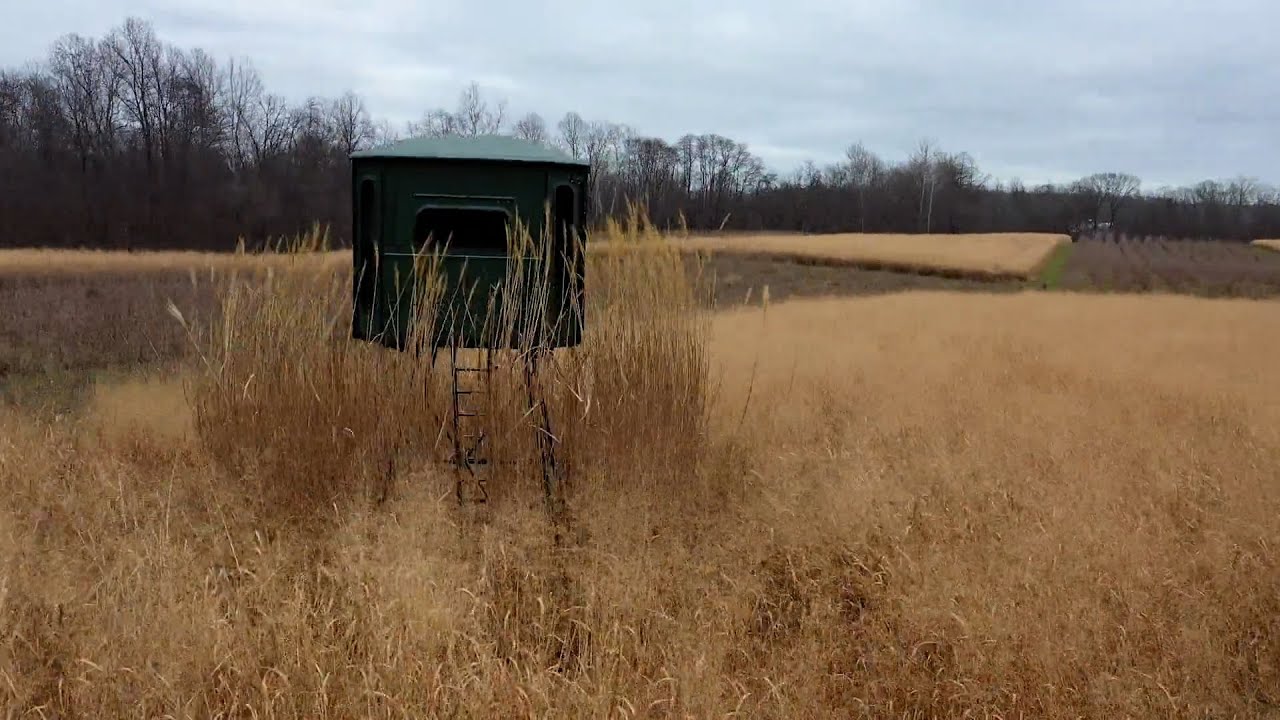 Project 17: Deer Hunting Setup - The Management Advantage - YouTube