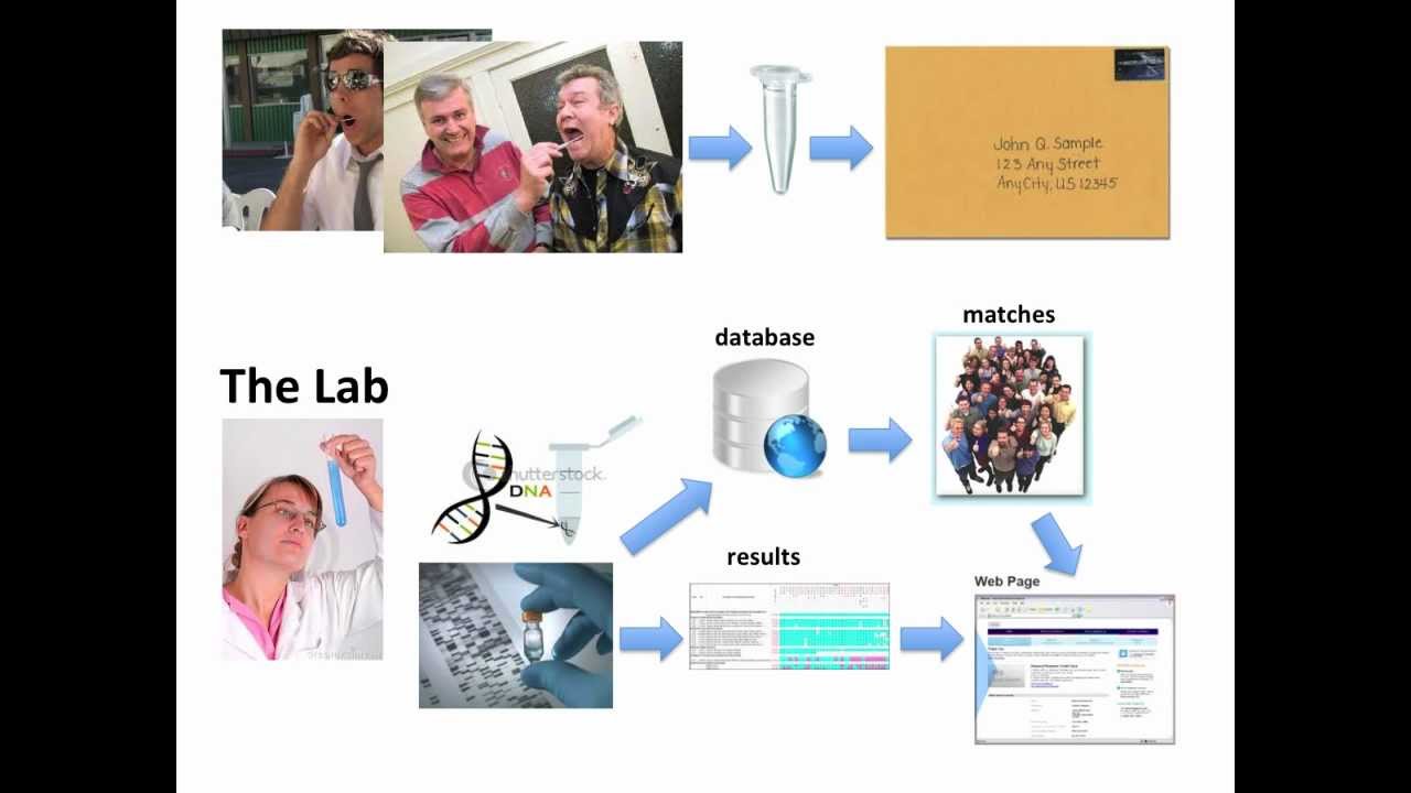 How DNA can help your Family Tree research - part 1 - YouTube