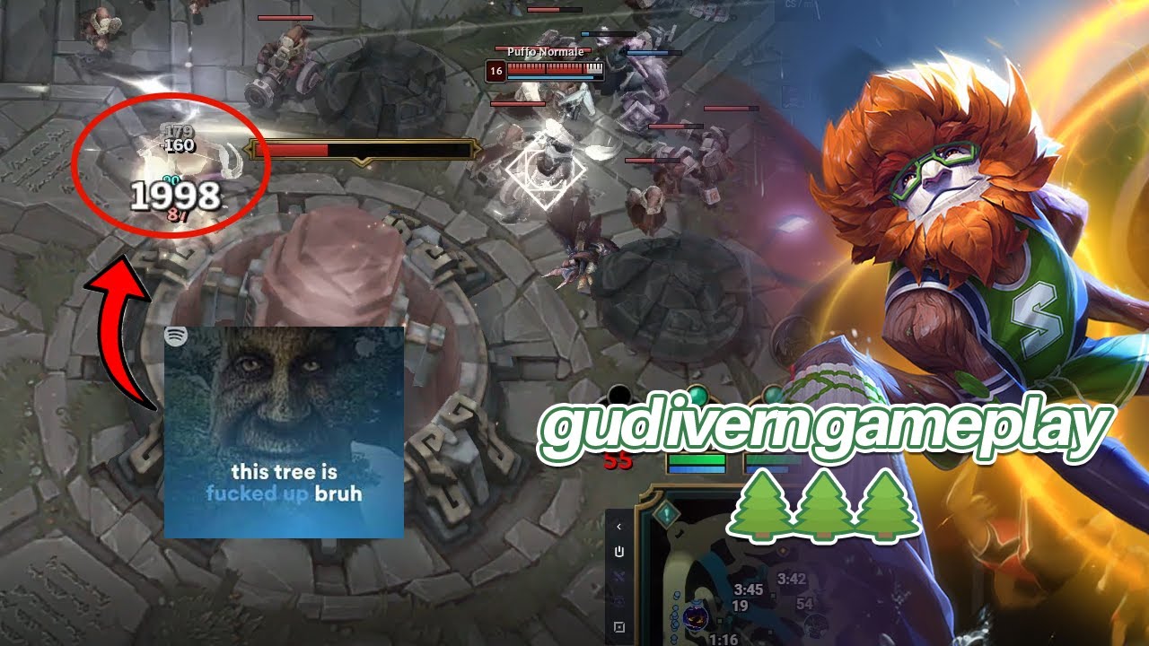 chill ivern 🌲🌲🌲 gameplay + watching naayil and caedrel stream - YouTube