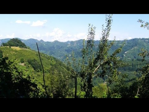 MUHAMMET GÜLER RESMİİ kanalı canlı yayında