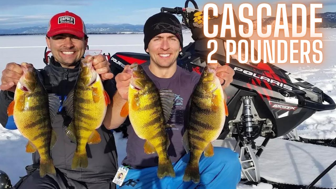 Cascade Lake Jumbo Perch with Back Country Tackle Free Tungsten Jig ...