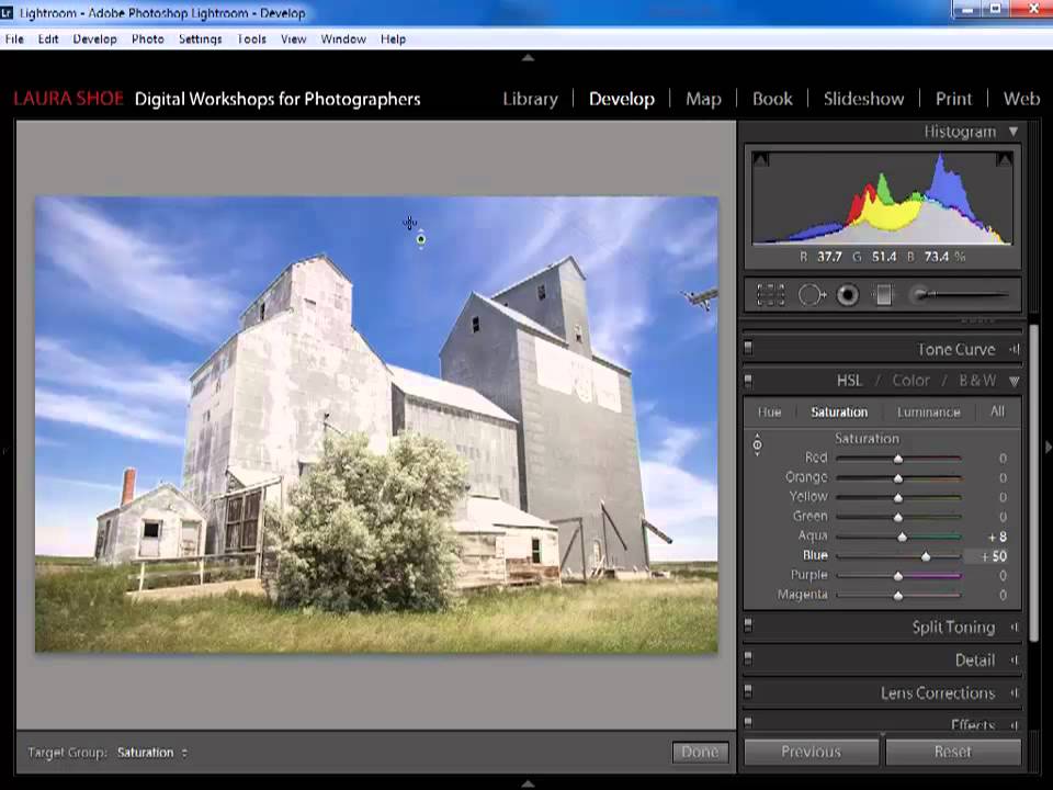 Lightroom 3-6, Classic: Adjust Individual Colors in Your Photo with HSL ...