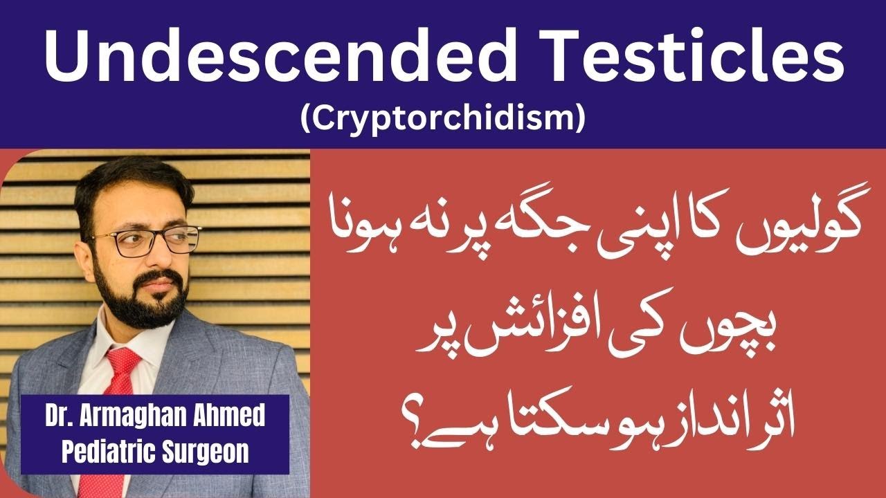 Can Growth of A Baby Stop Due to Undescended Testicle | Dr. Armaghan ...