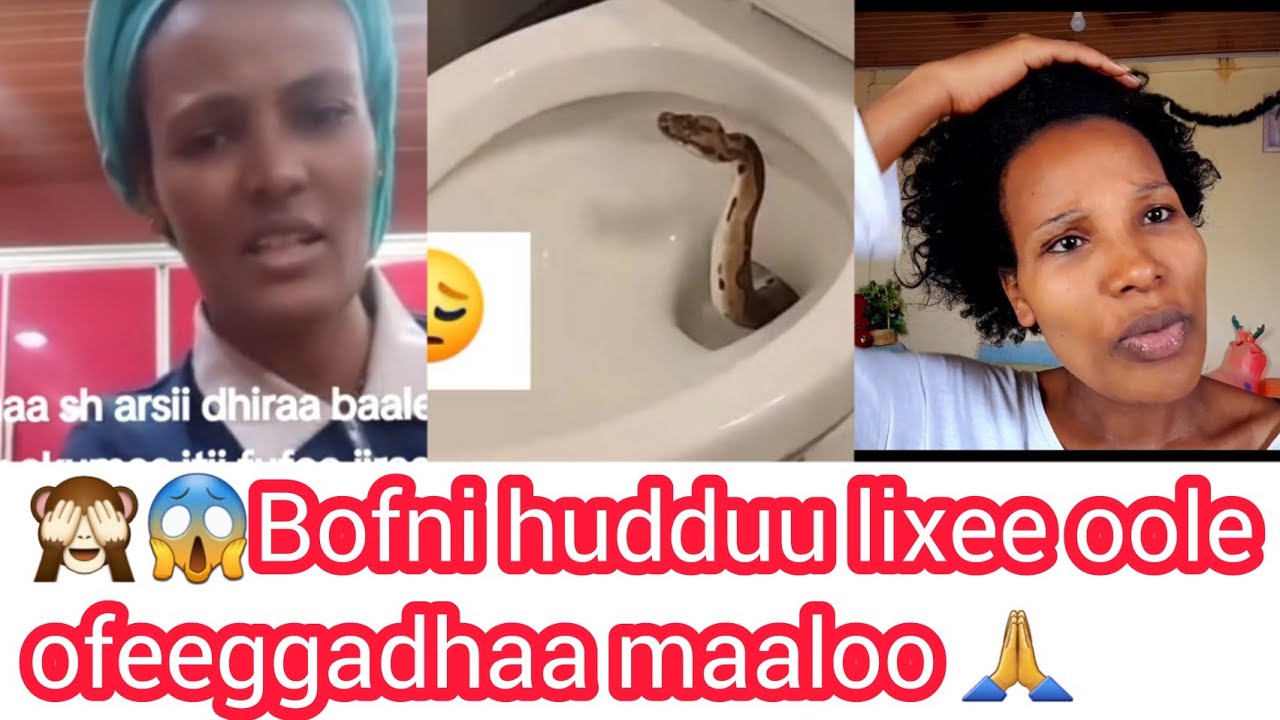 😱Rakkoon biraa,Bofni hudduu lixee oole ofeeggadhaa mana fincaanii yoo ...