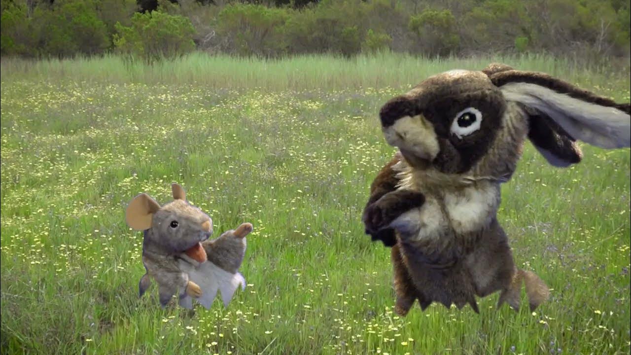 Prepare Yourself! How to Enable SAP (Second Audio Program) - YouTube