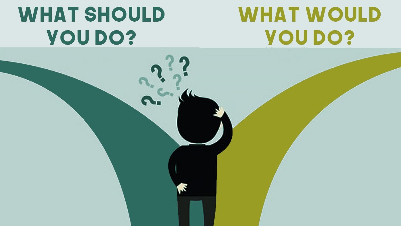 What Should You Do vs What Would You Do | Life Hack - YouTube