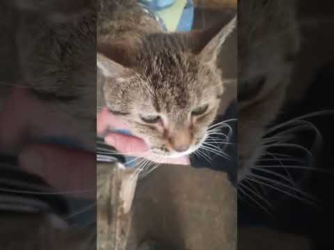 Back @ Kamp Krazy 😜 ️😺 - YouTube