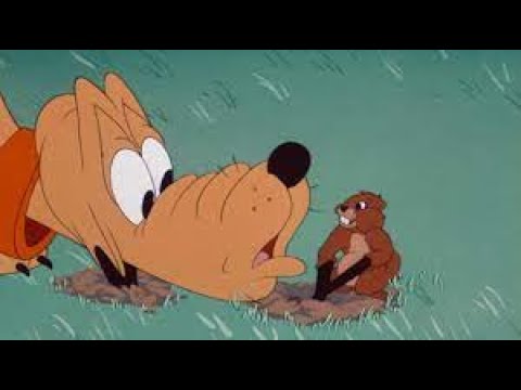 Pluto and the Gopher (1950) animated short review. - YouTube